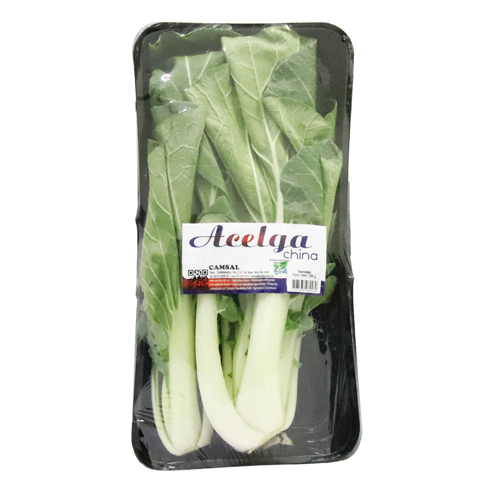 ACELGA BANDEJA CAMSAL*200GR